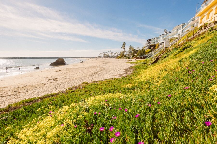 9 of the Best Hiking Trails in Orange County - Visit Newport Beach