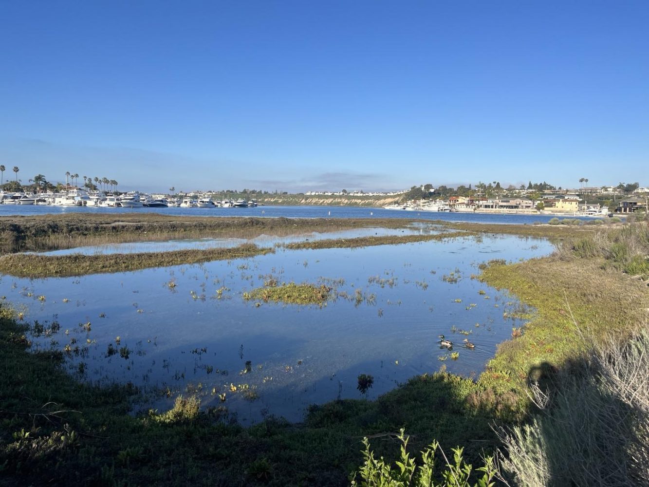 Back Bay Science Center - Visit Newport Beach